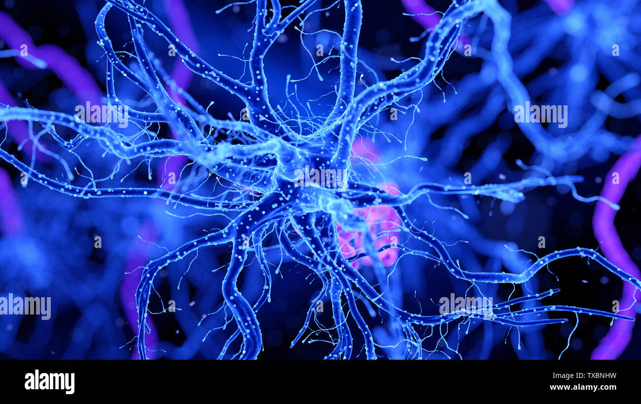 3d rendered medically accurate illustration of a nerve cell Stock Photo ...