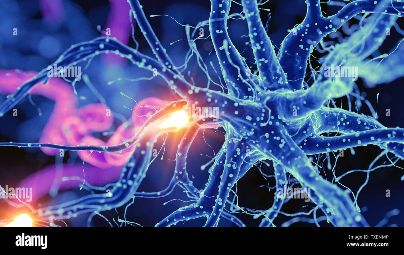 3d rendered medically accurate illustration of a nerve cell Stock Photo ...
