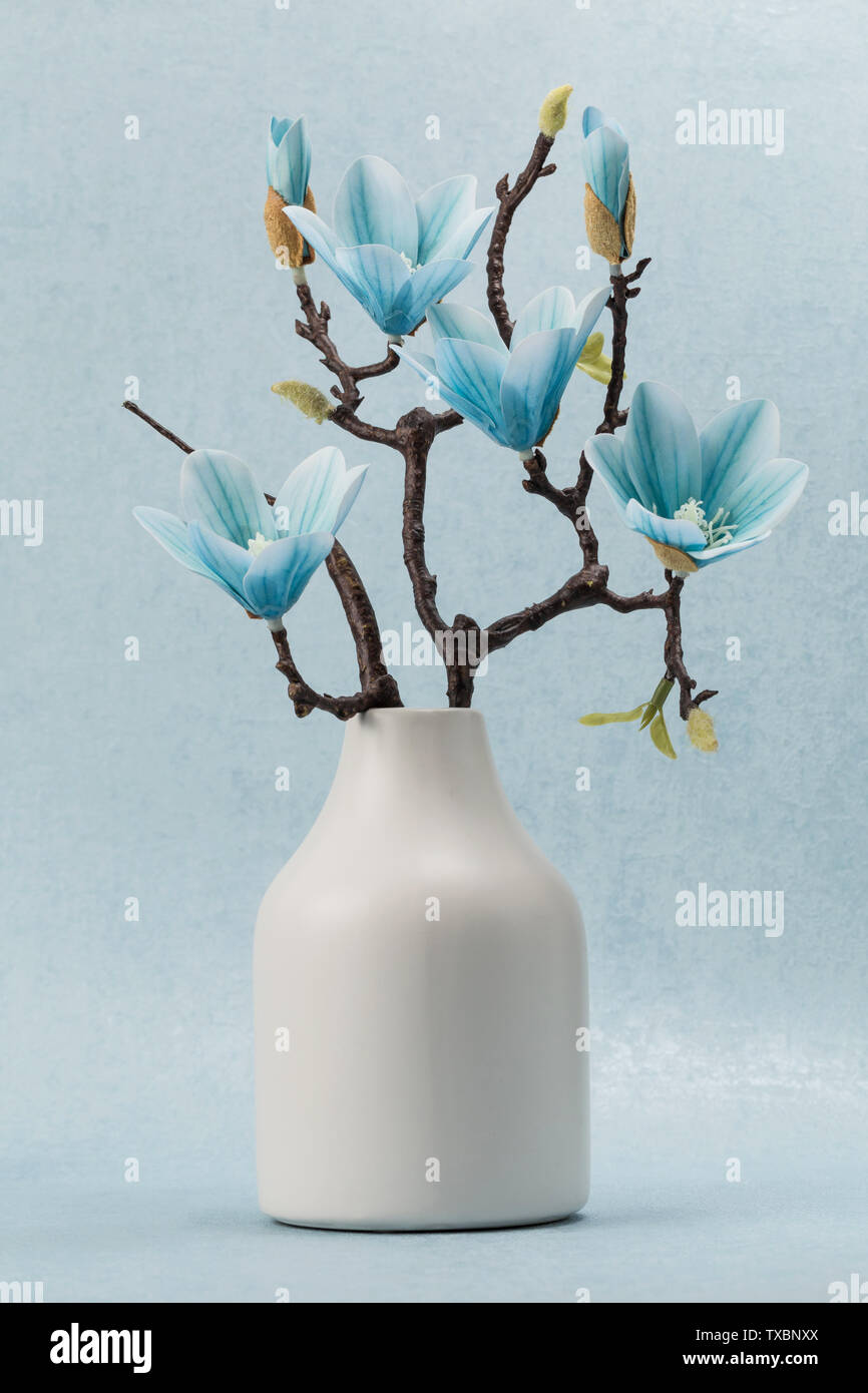 Magnolia butterflies flower hi-res stock photography and images - Alamy