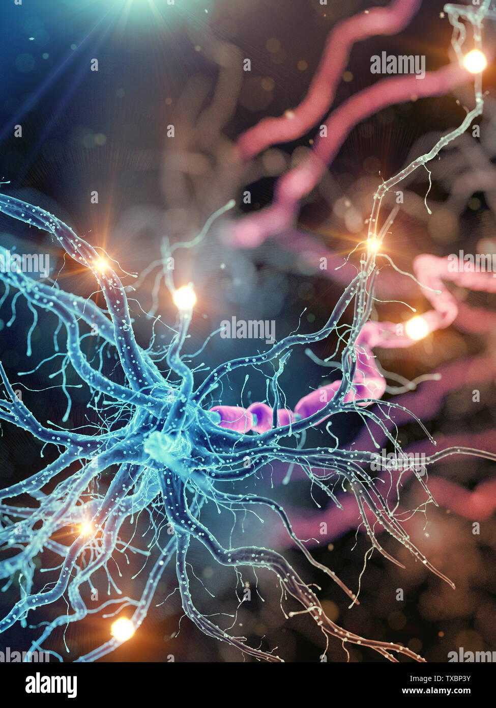 3d rendered medically accurate illustration of an active human nerve ...