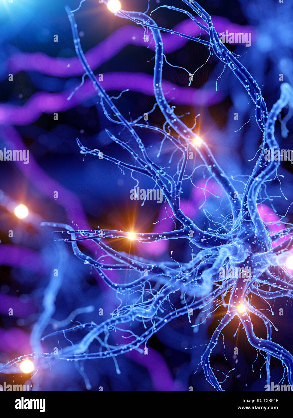 3d rendered medically accurate illustration of an active human nerve ...