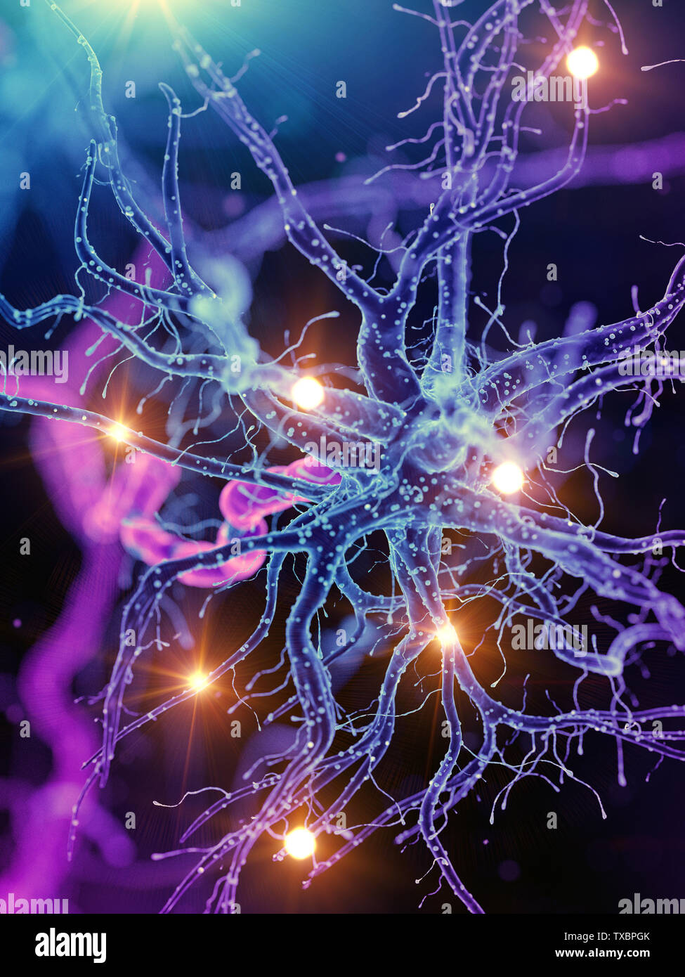 3d rendered medically accurate illustration of an active human nerve ...