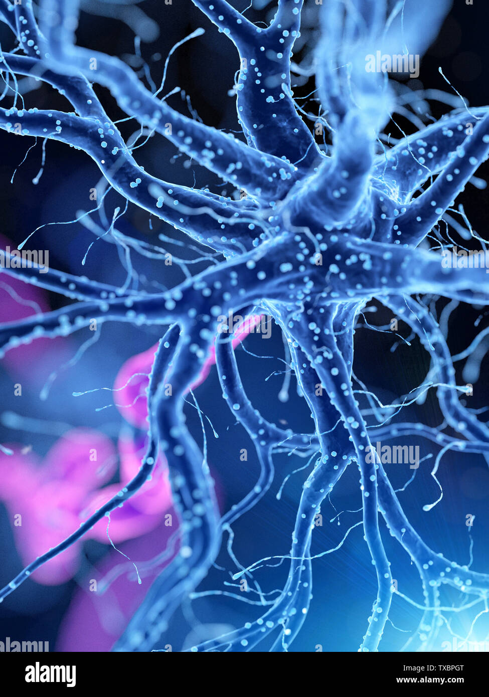 3d rendered medically accurate illustration of an human nerve cell ...