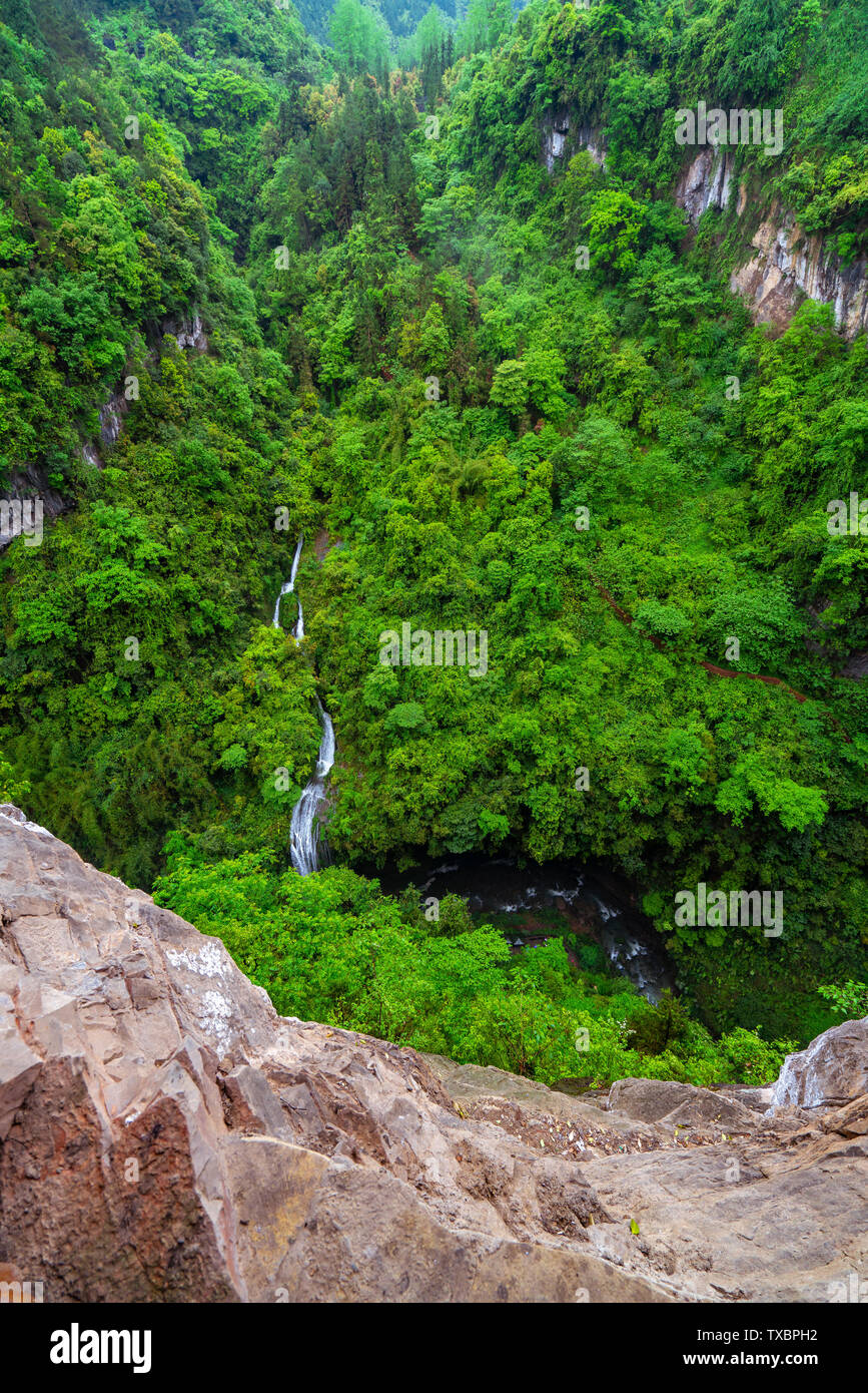 The forest at the seam of the Longshui Gorge Stock Photo - Alamy