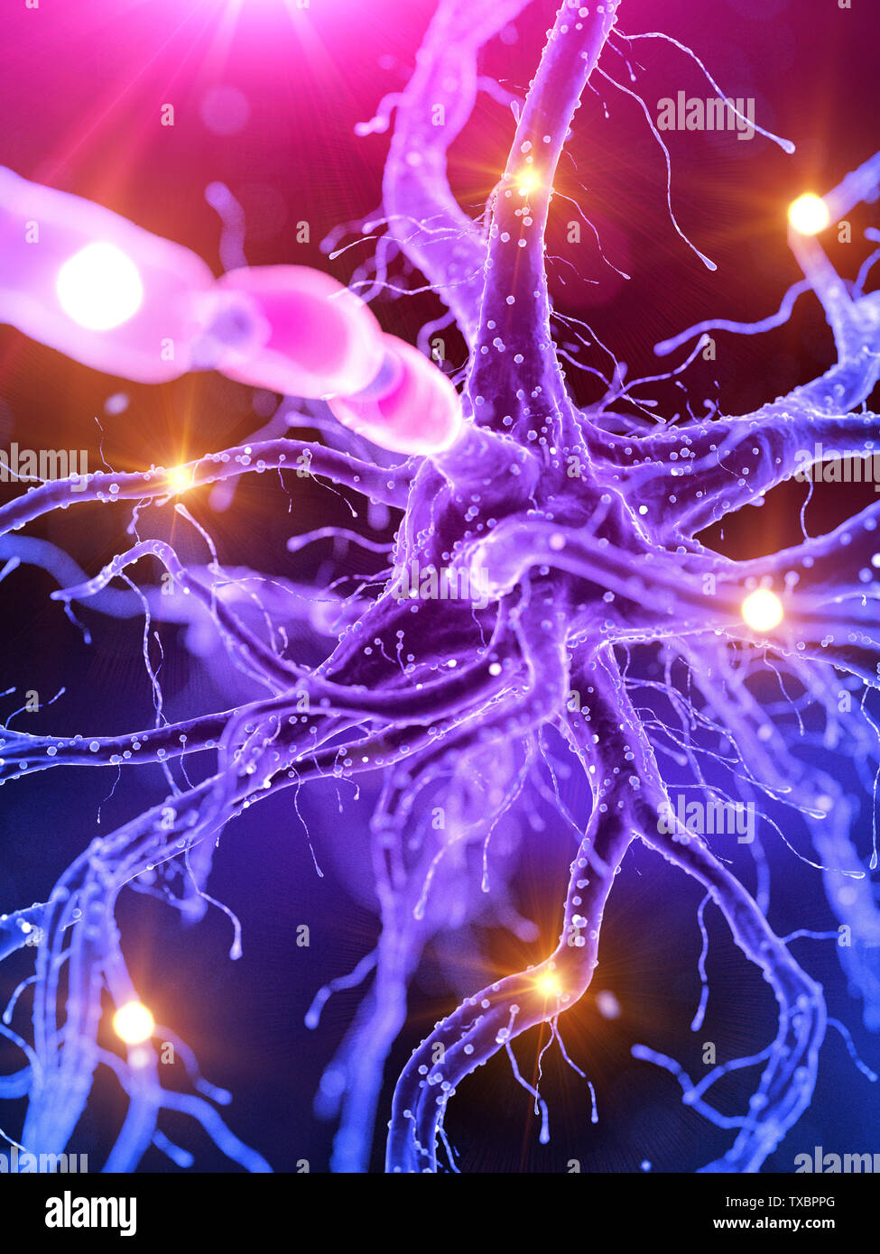 Active cell nucleus 3d hi-res stock photography and images - Alamy