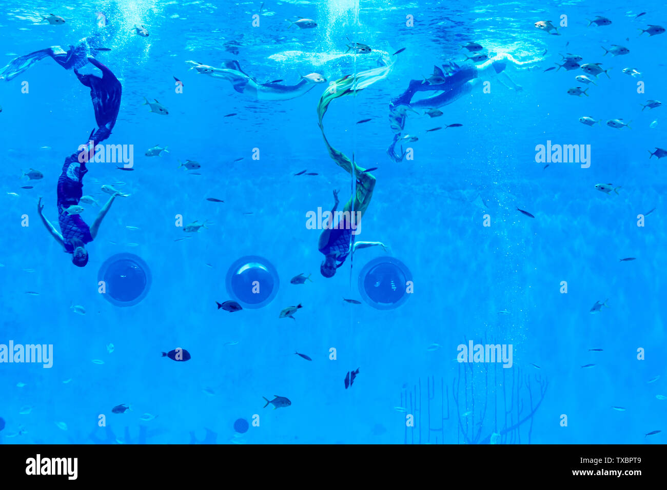 Mermaid performance at Haichang Ocean Park, Shanghai Stock Photo - Alamy