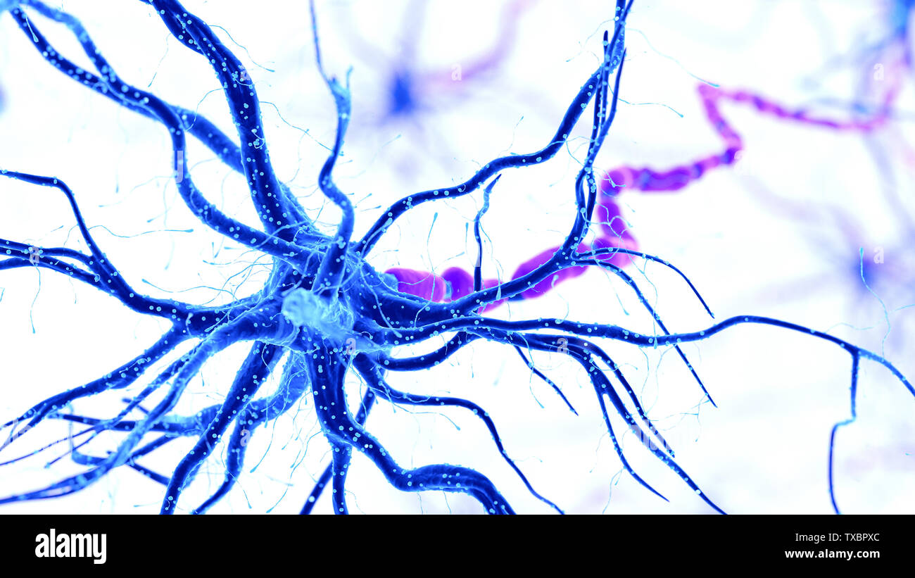 3d rendered medically accurate illustration of a human nerve cell on ...