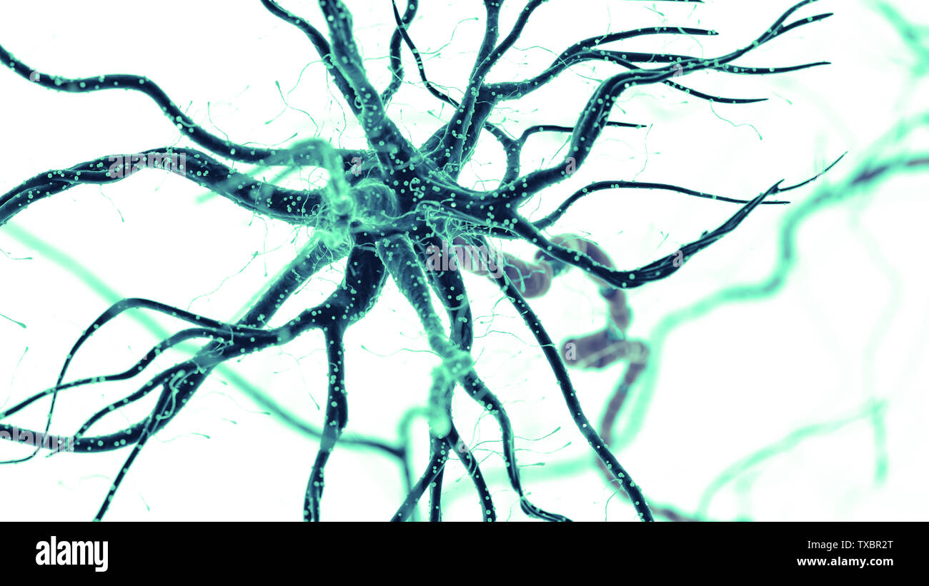 3d rendered medically accurate illustration of a human nerve cell on ...