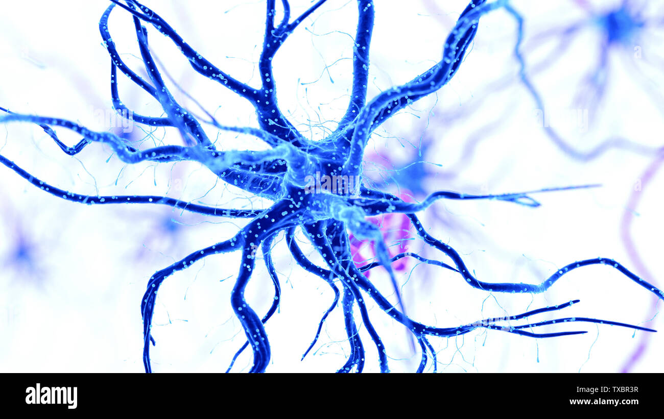 3d rendered medically accurate illustration of a human nerve cell on ...