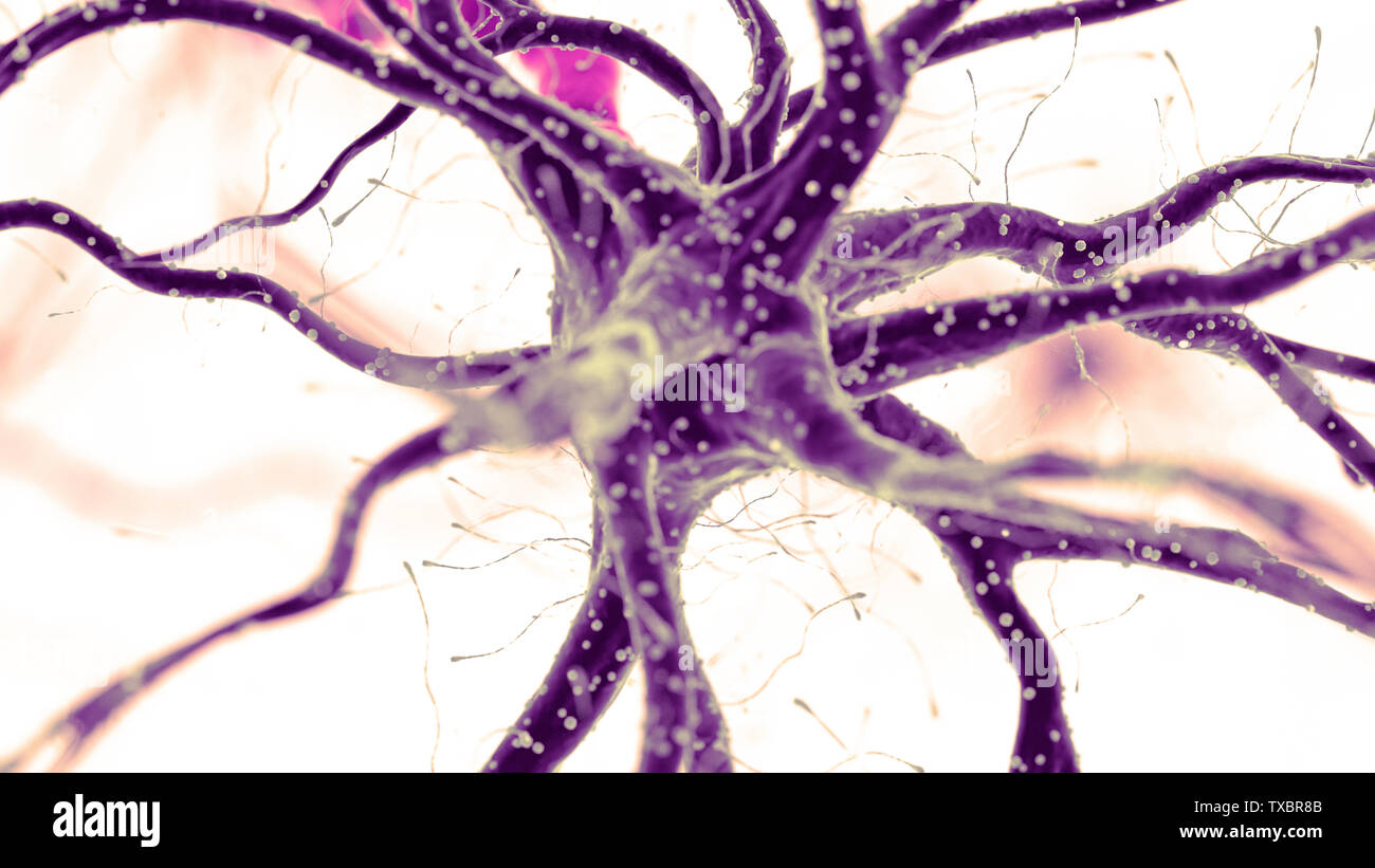 3d rendered medically accurate illustration of a human nerve cell on ...