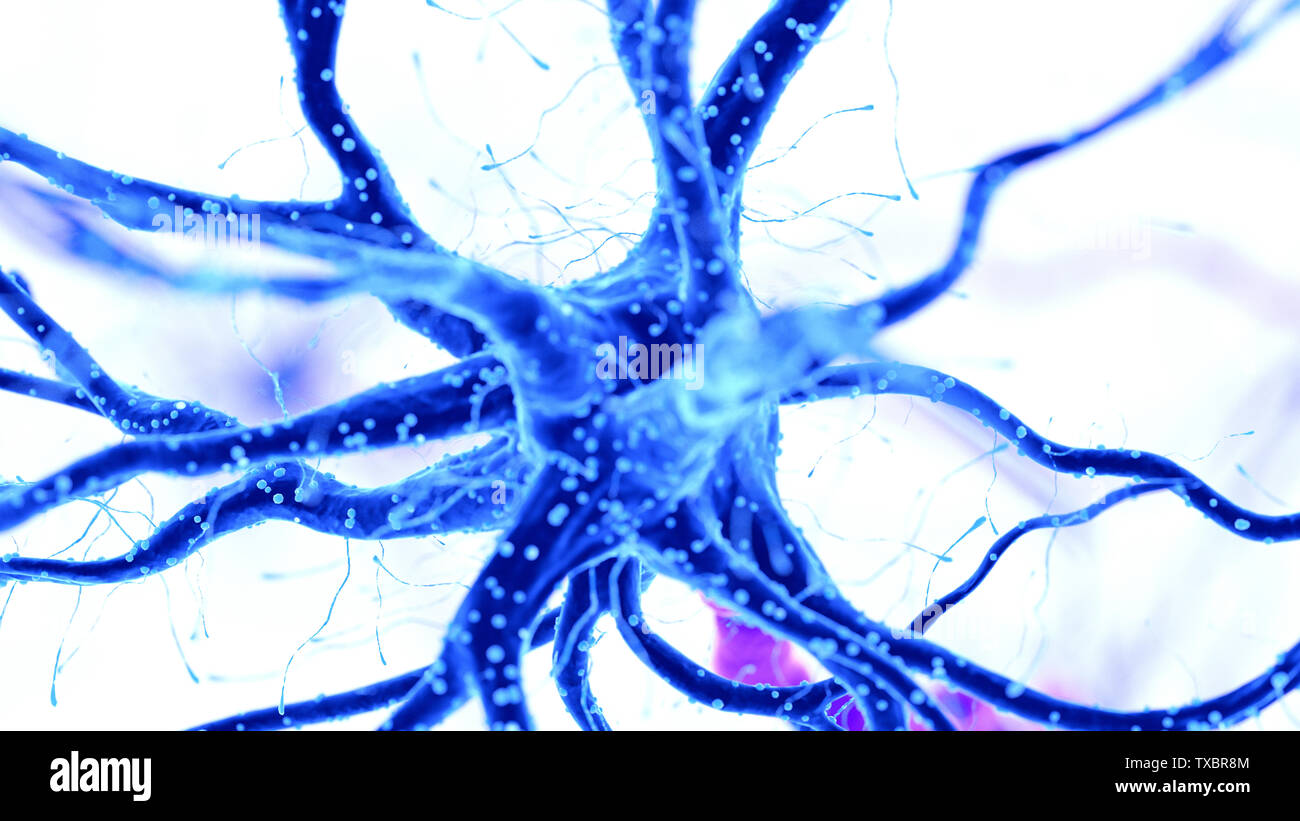 3d rendered medically accurate illustration of a human nerve cell on ...