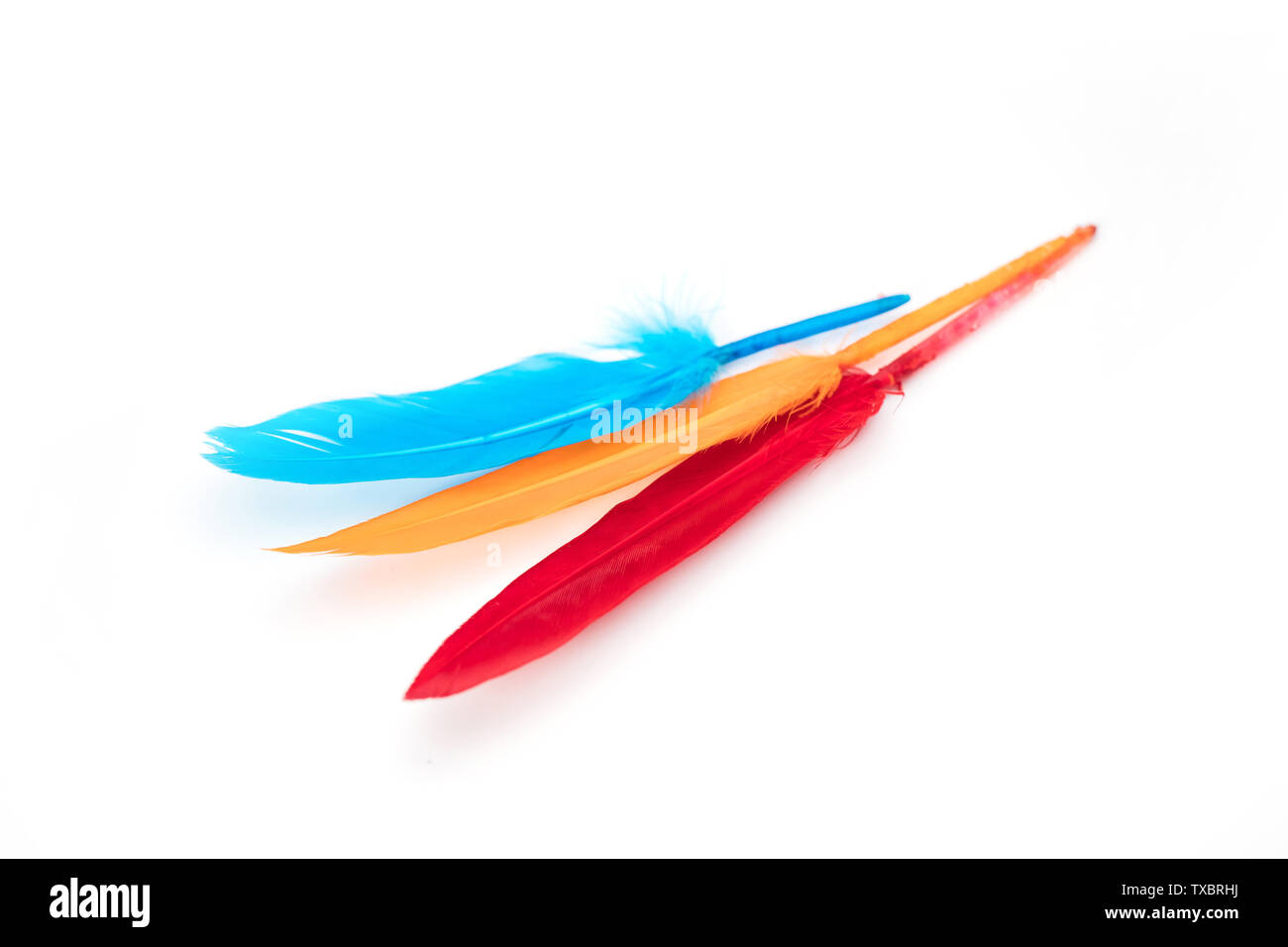 Chicken feather illustration Cut Out Stock Images & Pictures - Alamy