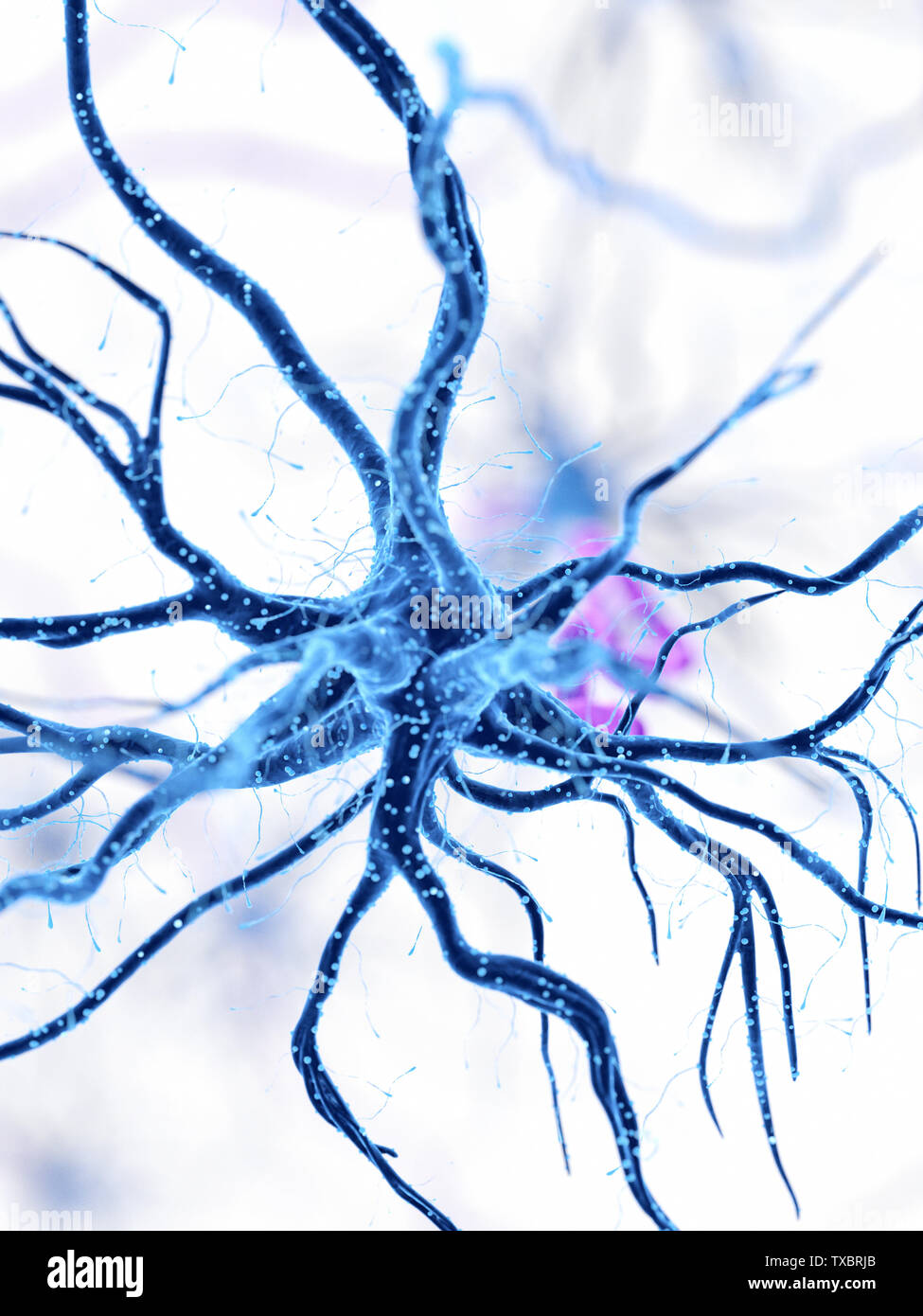 3d rendered medically accurate illustration of an human nerve cell ...