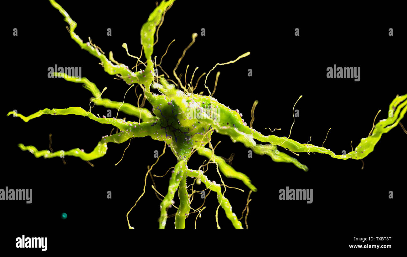 3d rendered medically accurate illustration of a green nerve cell Stock ...