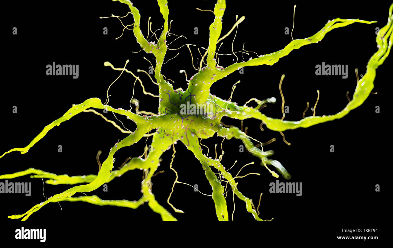 3d rendered medically accurate illustration of a green nerve cell Stock ...