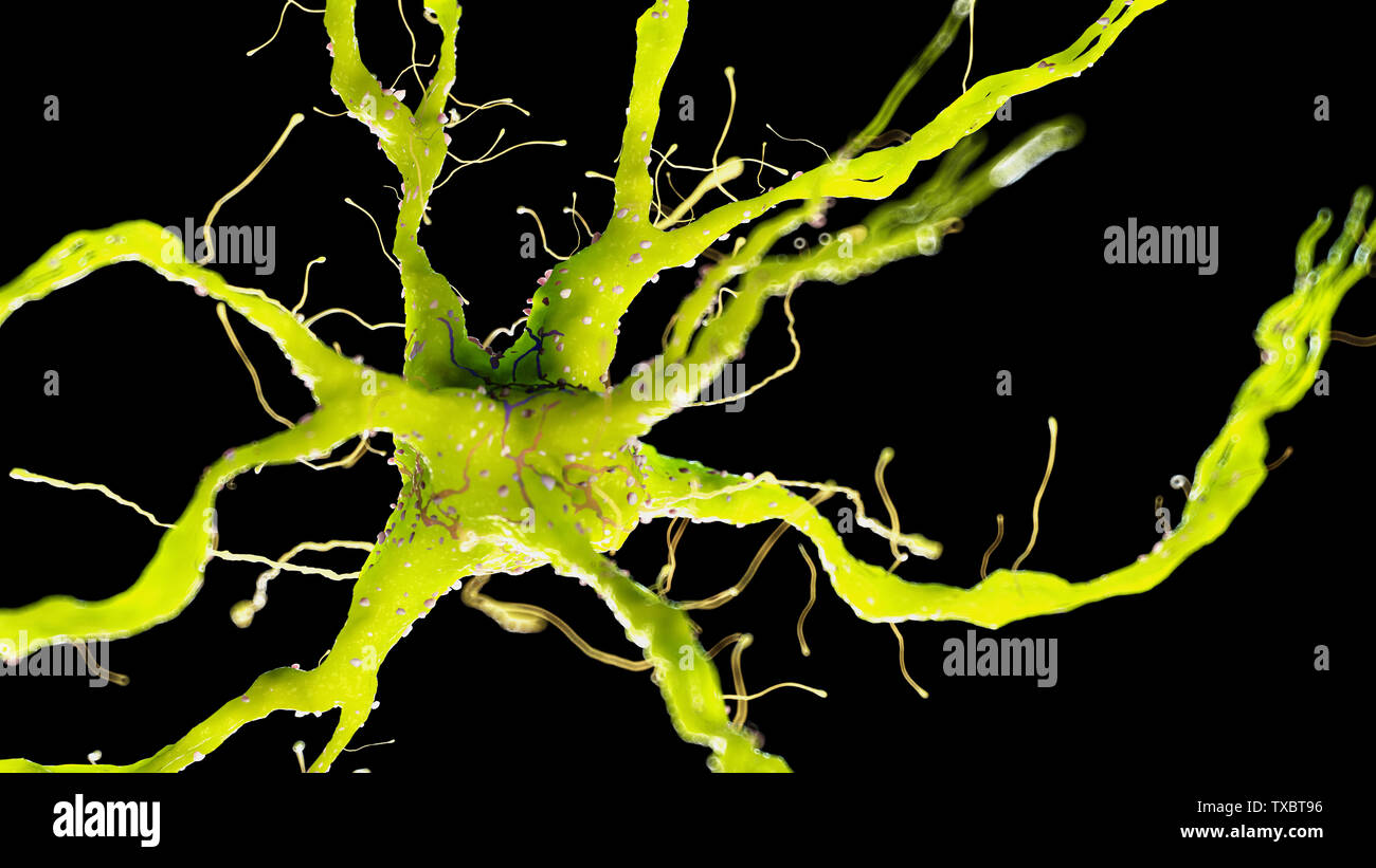 3d rendered medically accurate illustration of a green nerve cell Stock ...