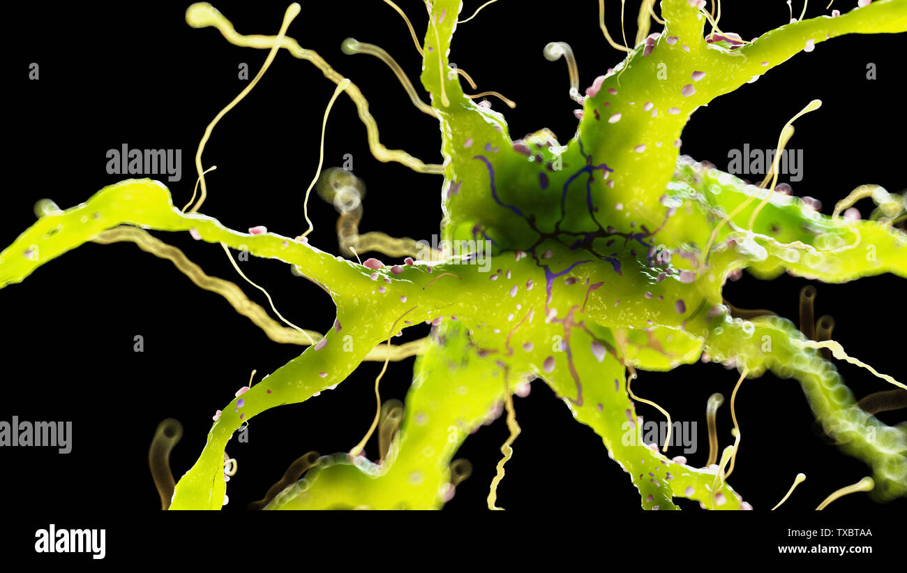 3d rendered medically accurate illustration of a green nerve cell Stock ...