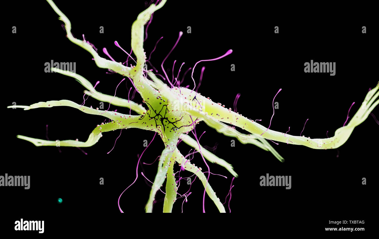 3d rendered medically accurate illustration of a human nerve cell Stock ...