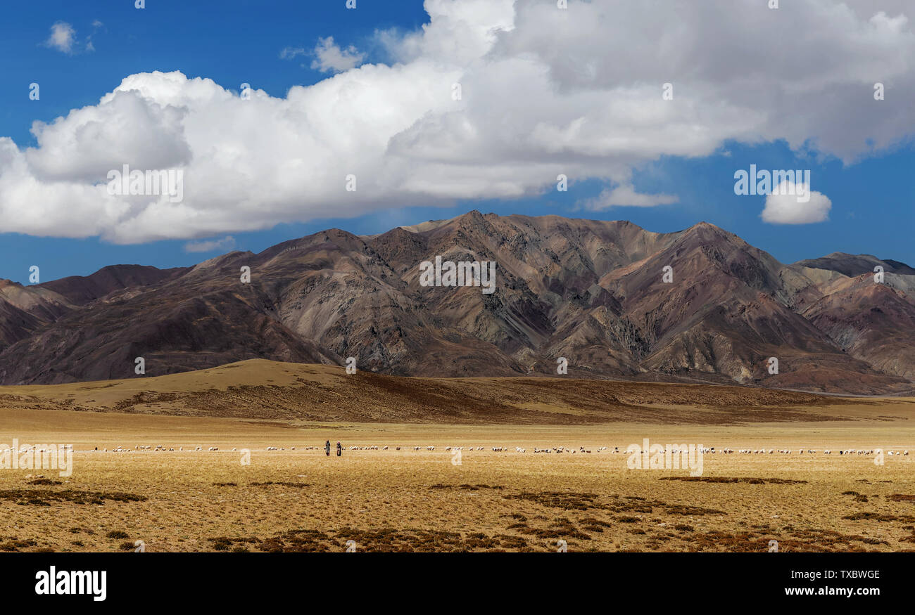 Plateau pastoral song Stock Photo - Alamy