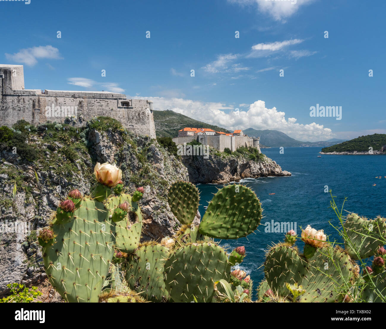Fort Lawrence and city walls of the old town of Dubrovnik in Croatia ...