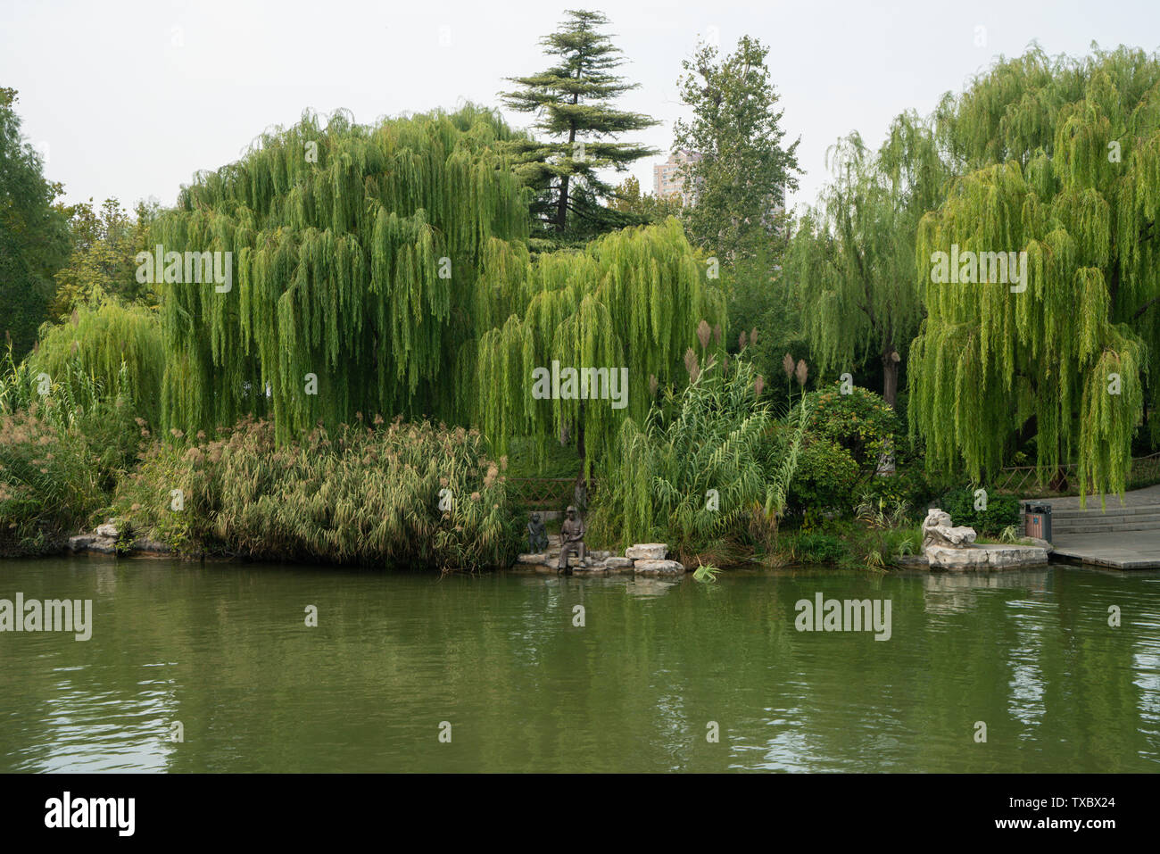 Scenery of Daming Lake in Jinan, Shandong Province Stock Photo - Alamy