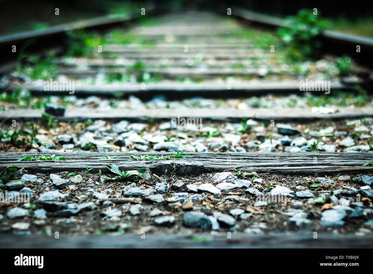 On the way Stock Photo - Alamy