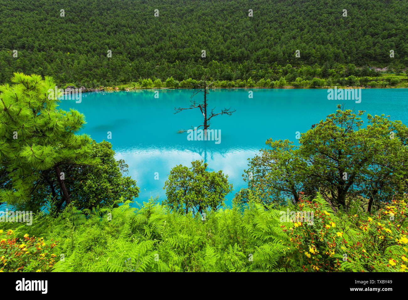 Lijiang blue moon valley Stock Photo - Alamy