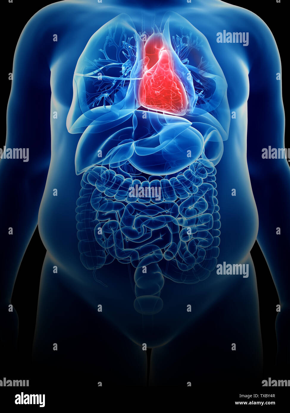 Chubby heart hi-res stock photography and images - Alamy