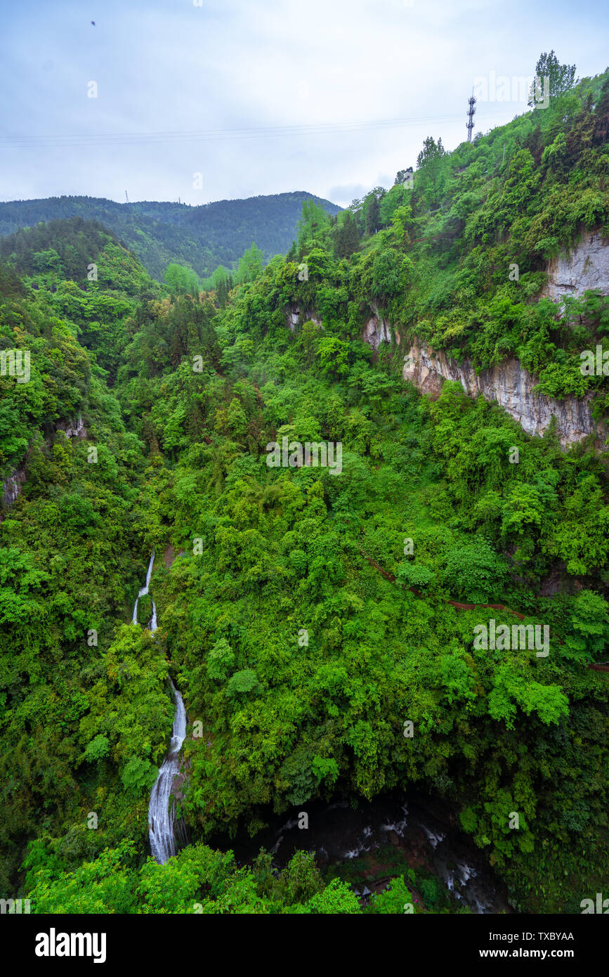 The forest at the seam of the Longshui Gorge Stock Photo - Alamy