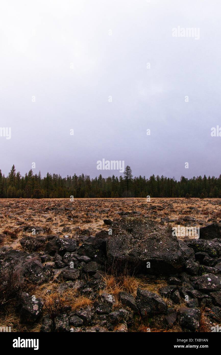 Beautiful rocky field with an amazing green forest on the horizon Stock ...
