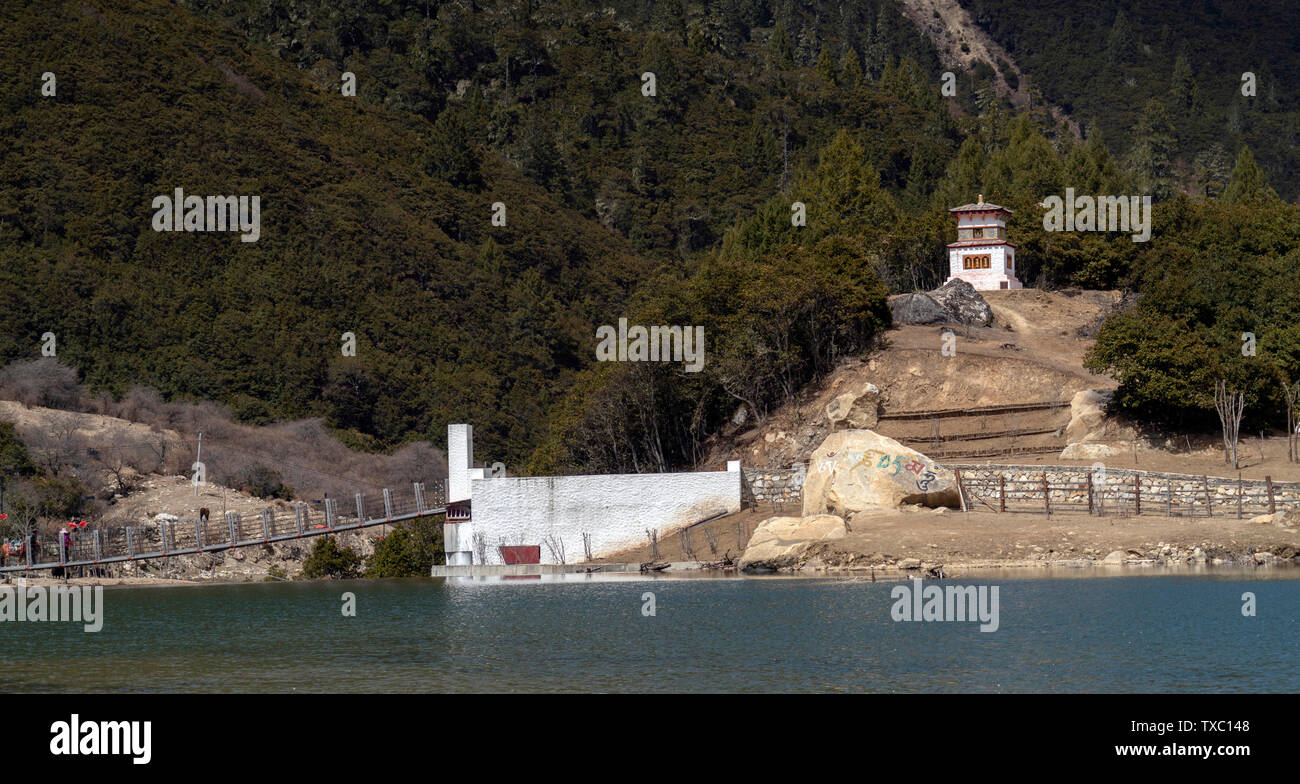 The lulang forest hi-res stock photography and images - Alamy