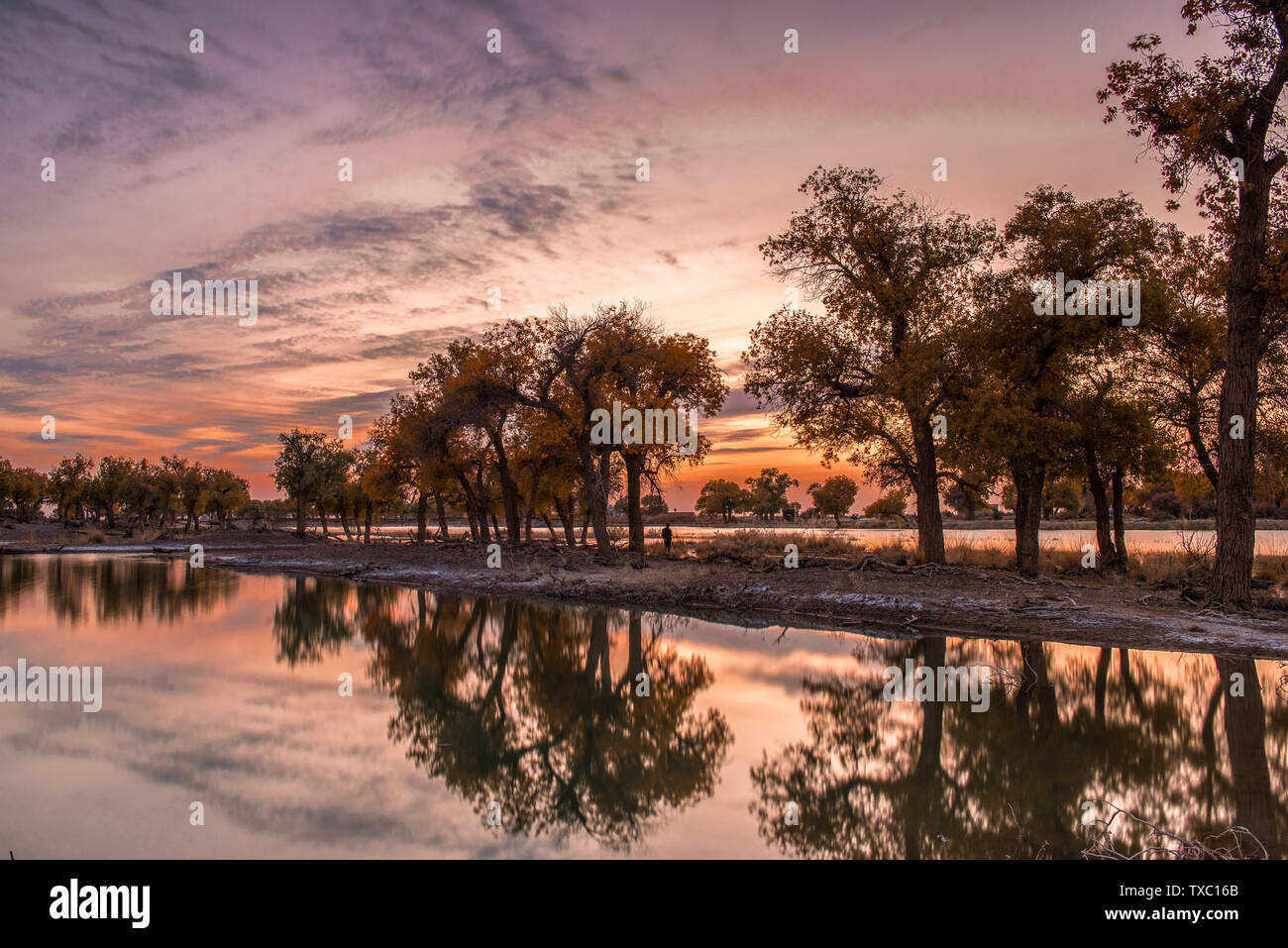 Hu yang and hu yang lin hi-res stock photography and images - Alamy