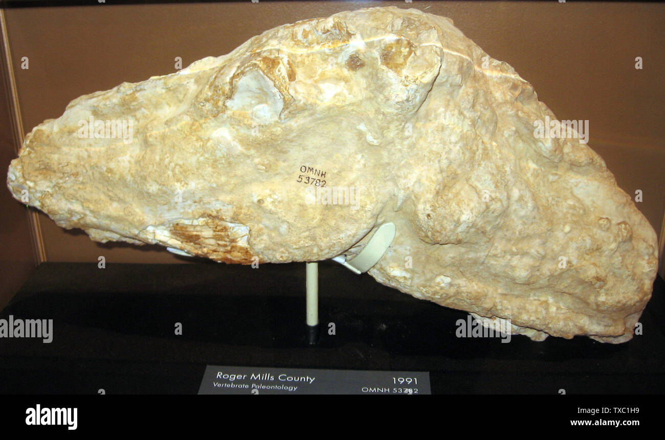 Oklahoma museum of natural history hi-res stock photography and images ...