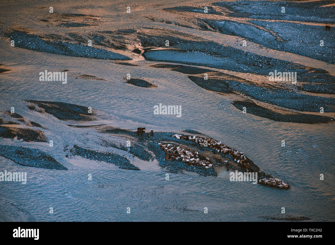 The flock in the Grand Canyon of Dushanzi, Xinjiang Stock Photo - Alamy