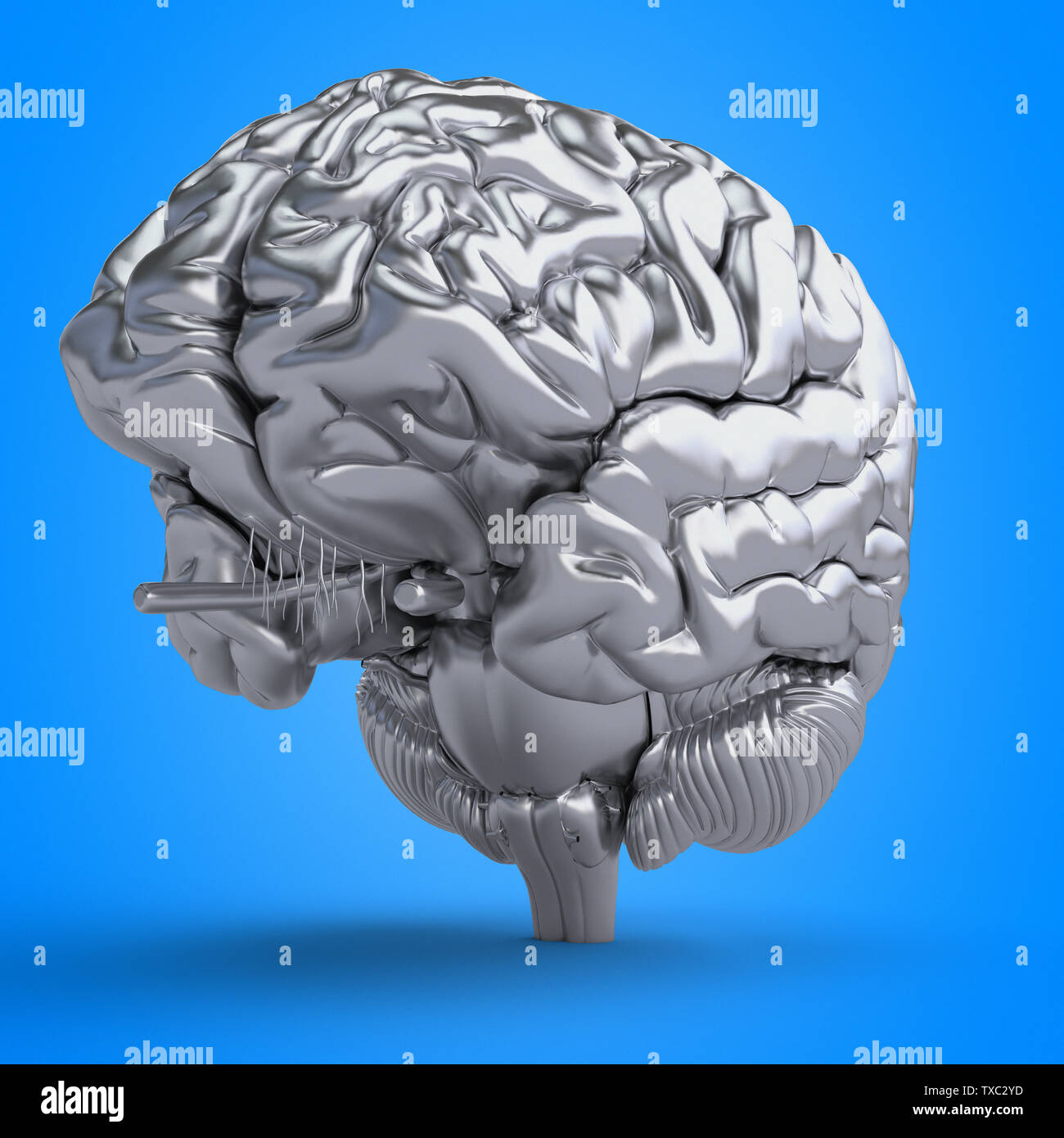 3d rendered illustration of a brain Stock Photo - Alamy