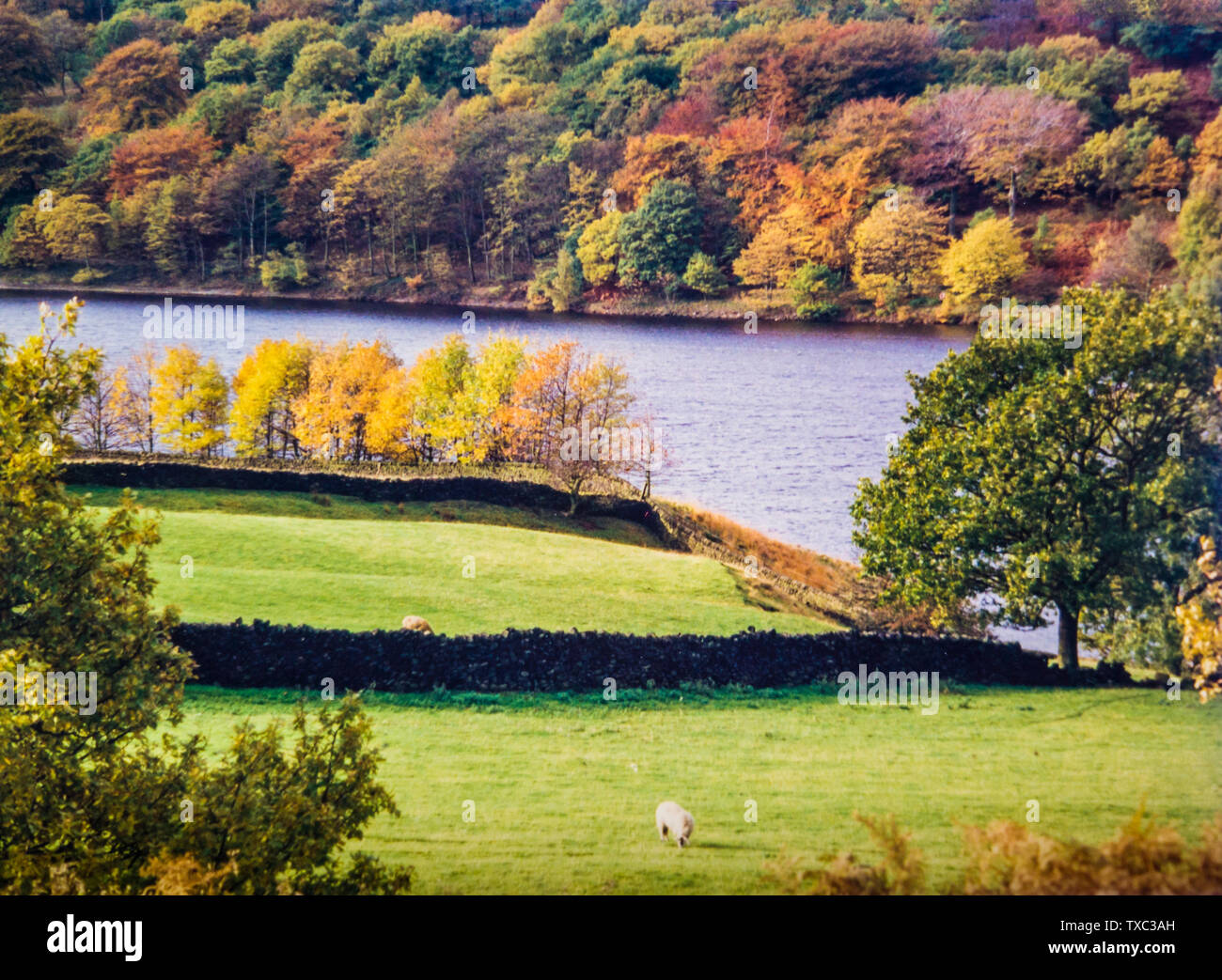 Pastoral pastoral songs hi-res stock photography and images - Alamy