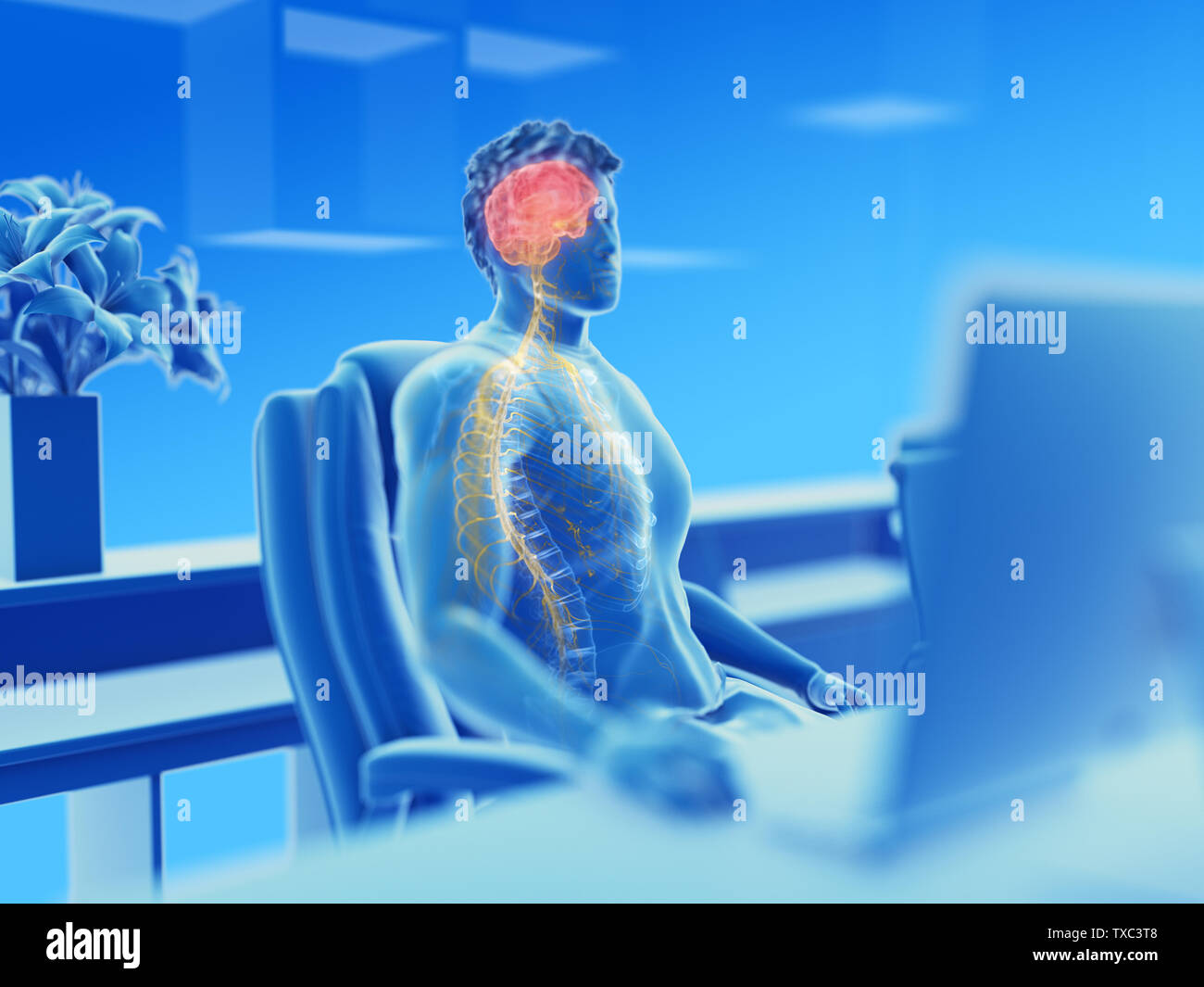3d rendered illustration of a man working on a pc - visible brain and ...