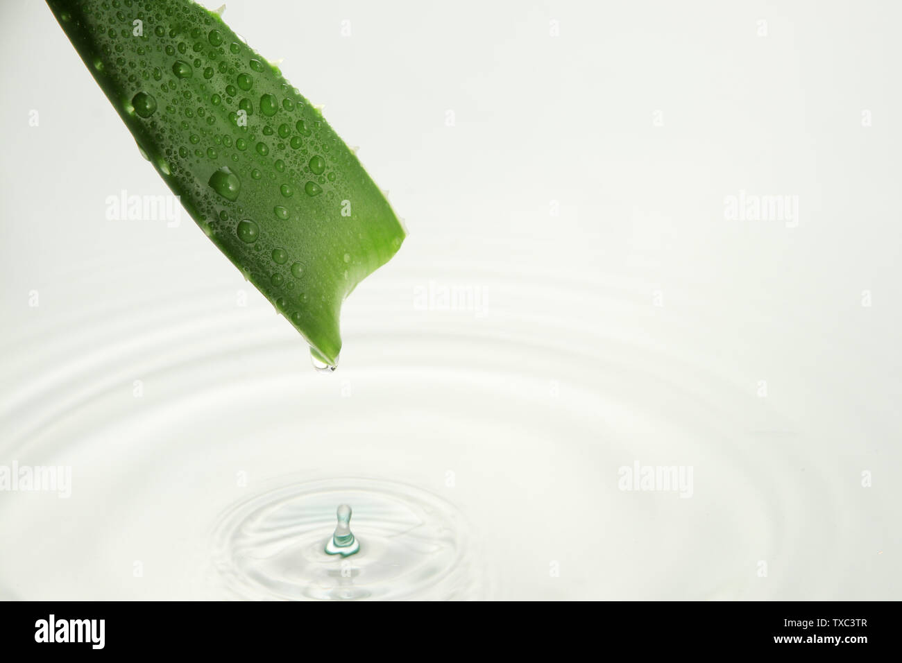 Dewy plants hi-res stock photography and images - Alamy