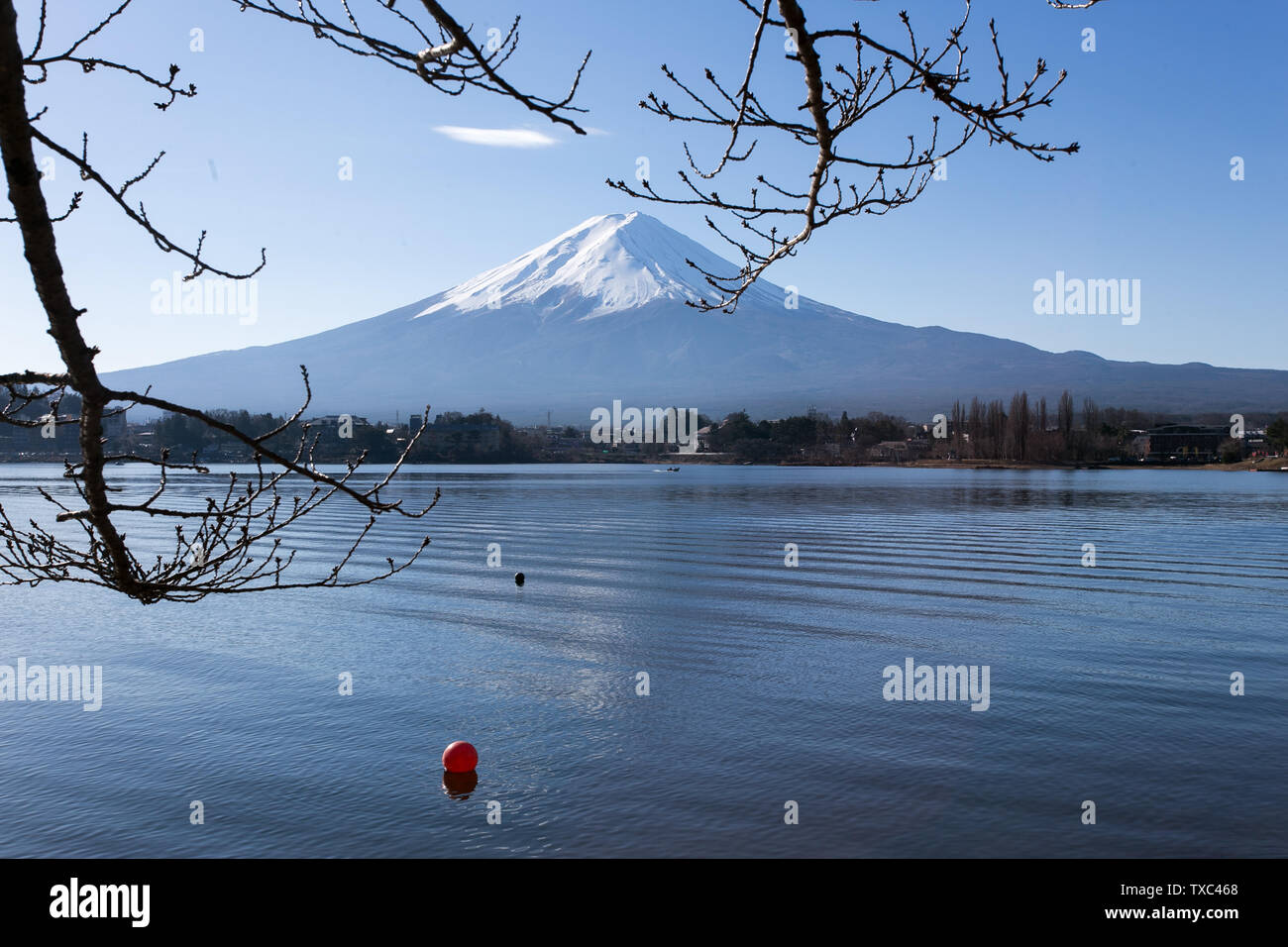 Japan's Mount Fuji estuary lake scenery Stock Photo - Alamy