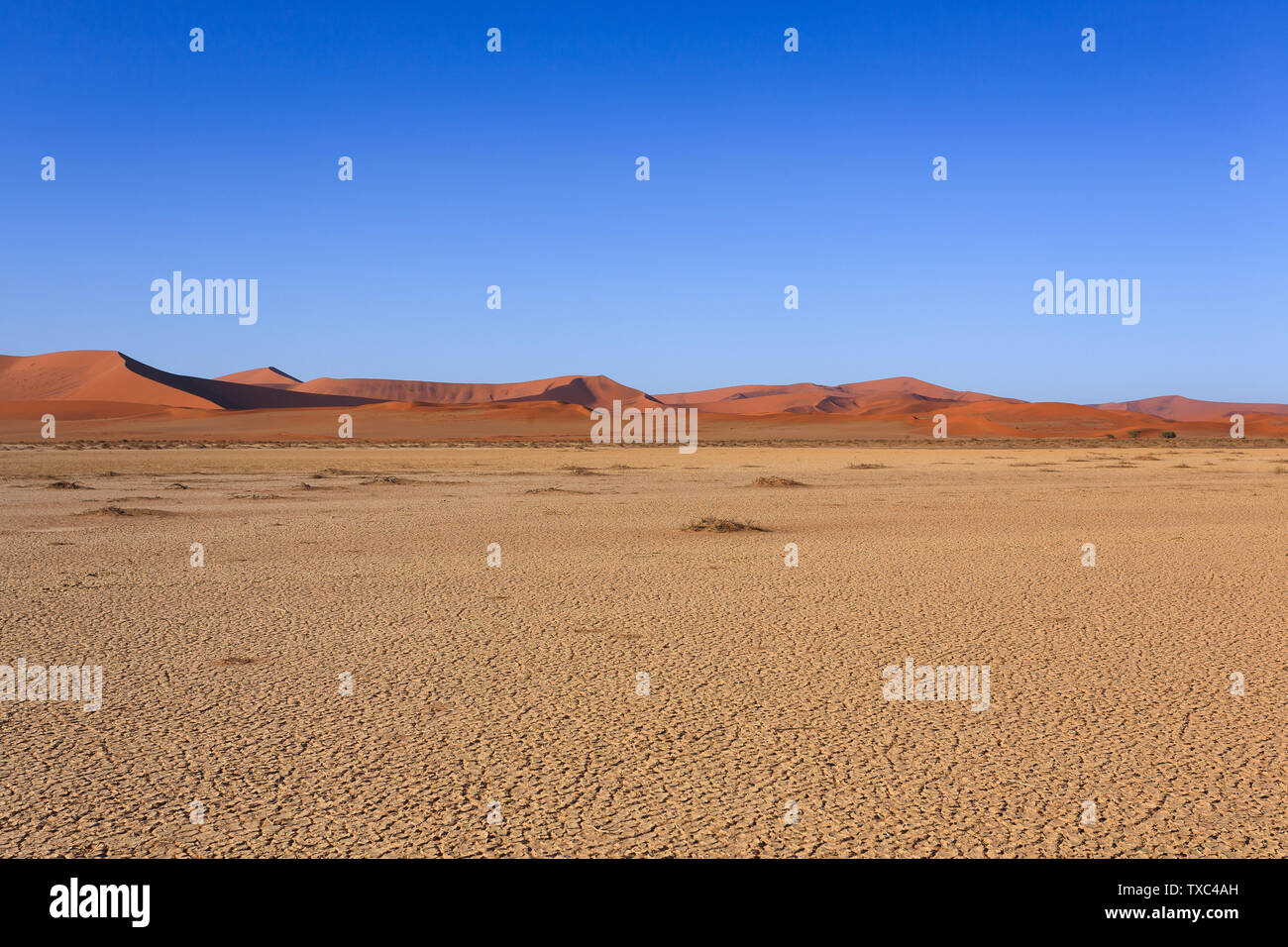 Panorama of red dunes from Sossusvlei Namibia Stock Photo - Alamy