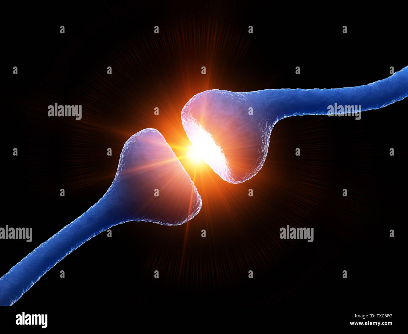 3d rendered medically accurate illustration of human receptors Stock ...