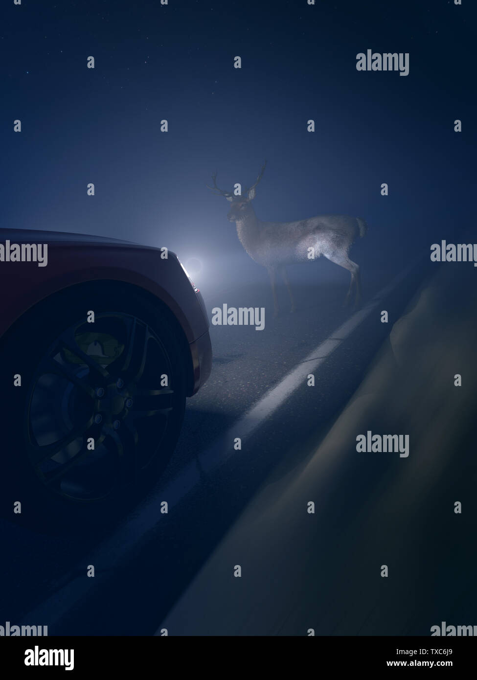 3d rendered illustration of a deer infront of a car Stock Photo - Alamy