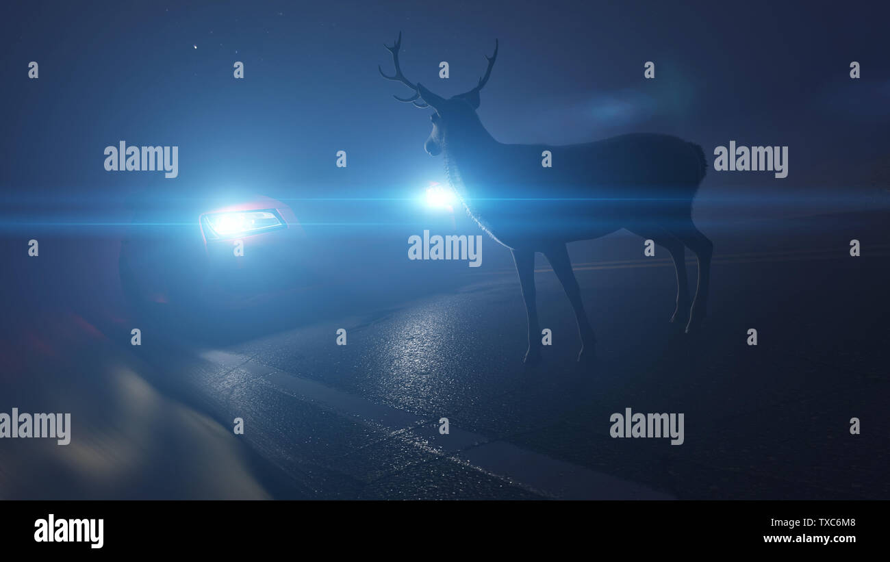 3d rendered illustration of a deer infront of a car Stock Photo - Alamy