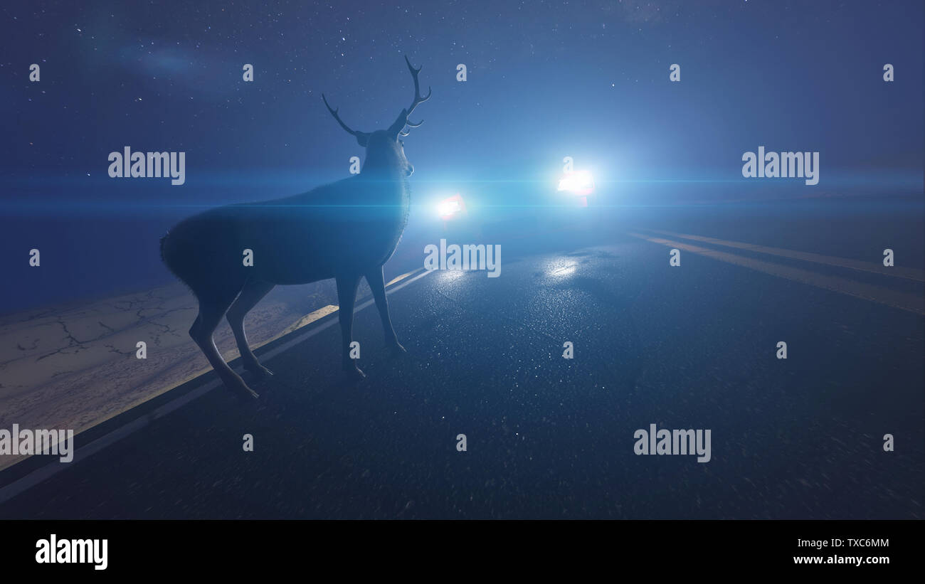 3d rendered illustration of a deer infront of a car Stock Photo - Alamy