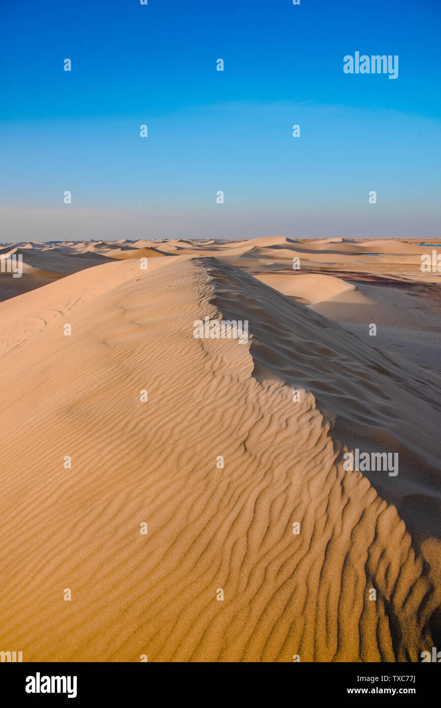 Eight Bridge in Hu Yang Lin Scenic Area of Alashan Desert, Alashan ...