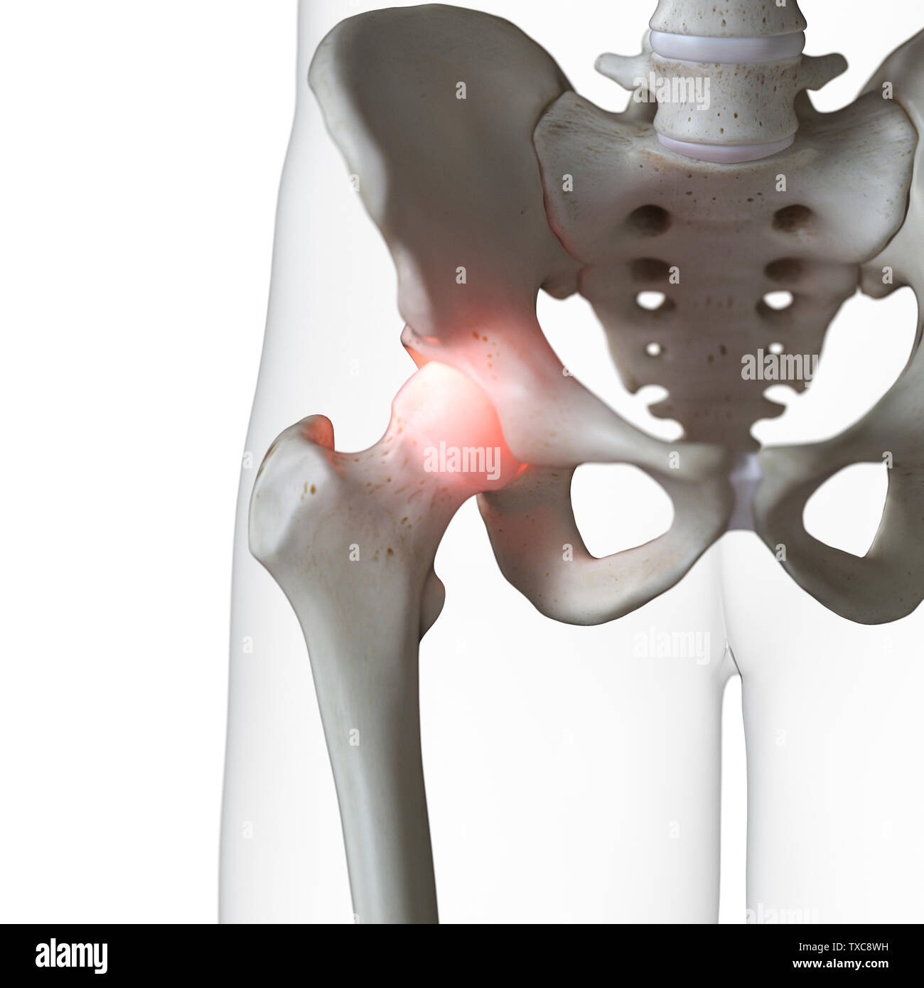 Painful sacroiliac joint hi-res stock photography and images - Alamy