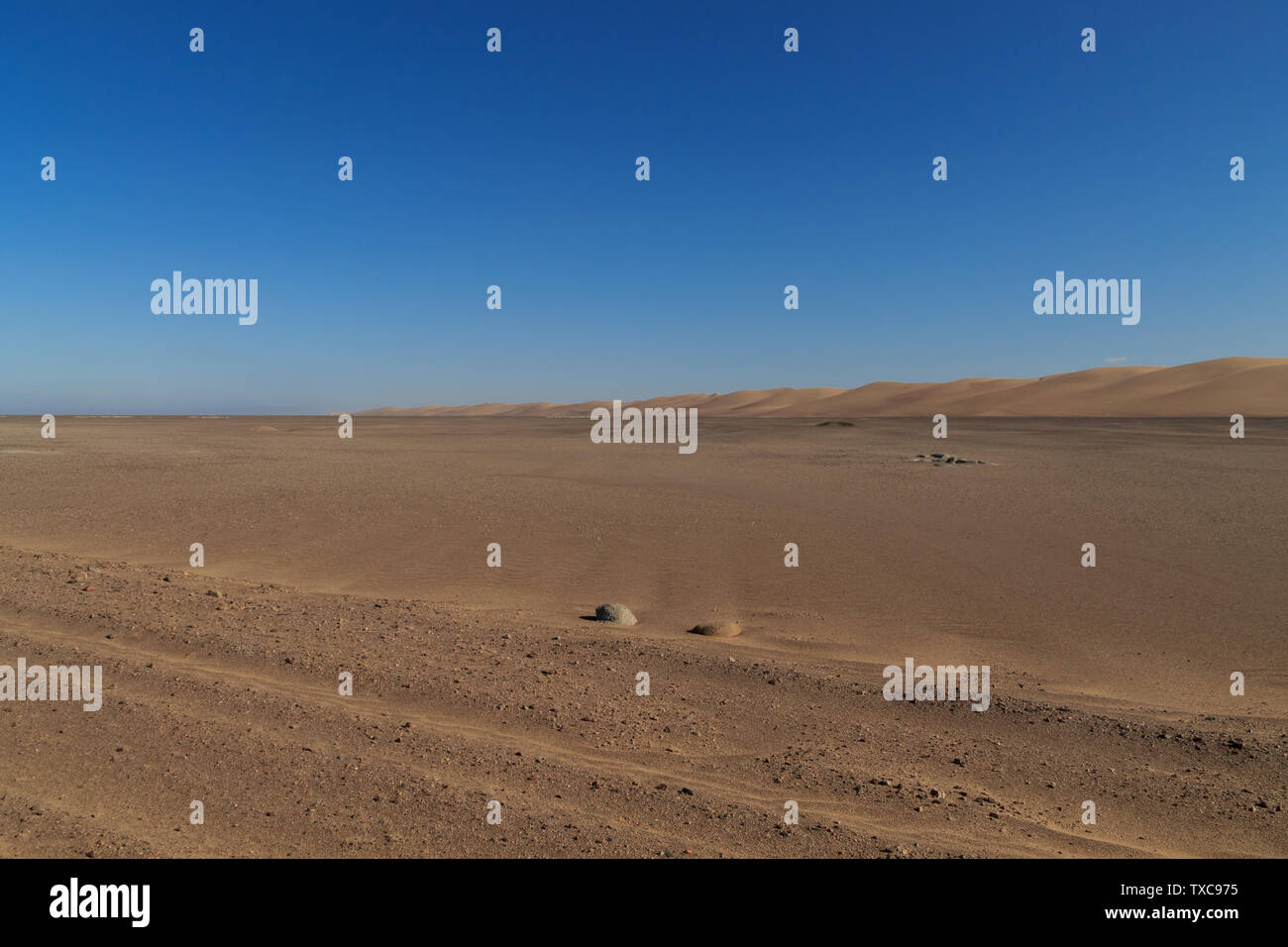 Dirt road from Skeleton coast, Namibia Stock Photo - Alamy