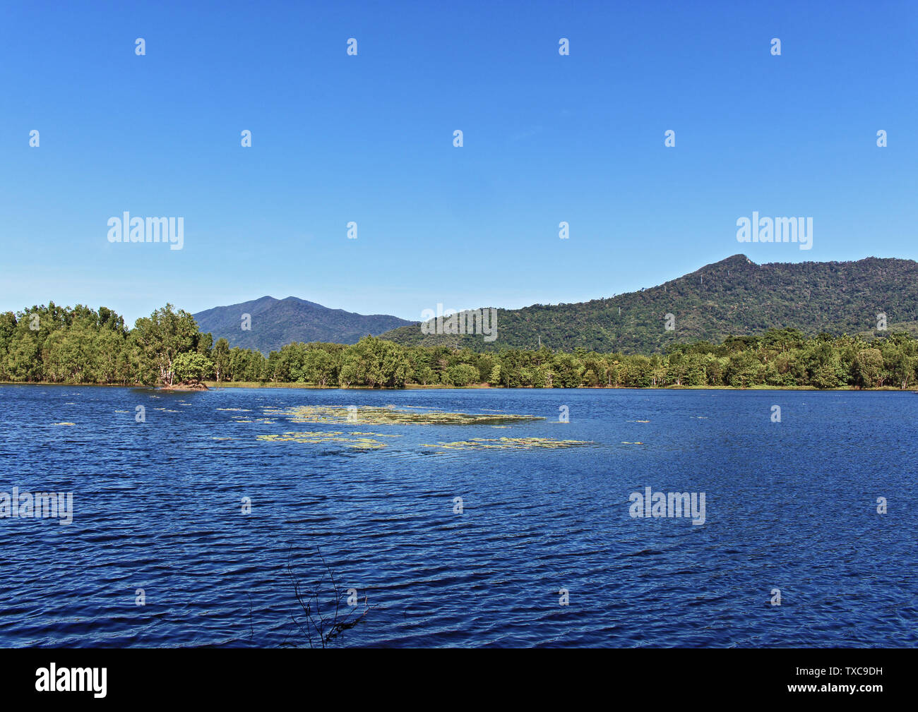 Birds of far north queensland hi-res stock photography and images - Alamy