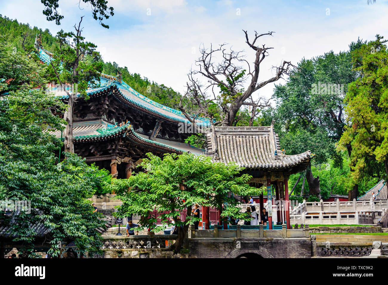 King of jin hi-res stock photography and images - Alamy