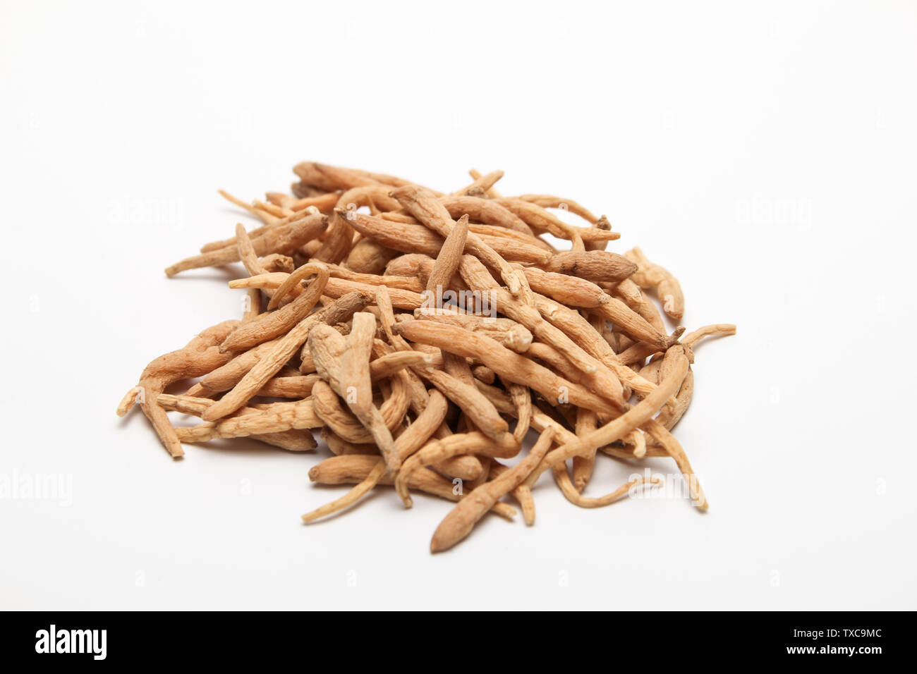 Taizi hi-res stock photography and images - Alamy